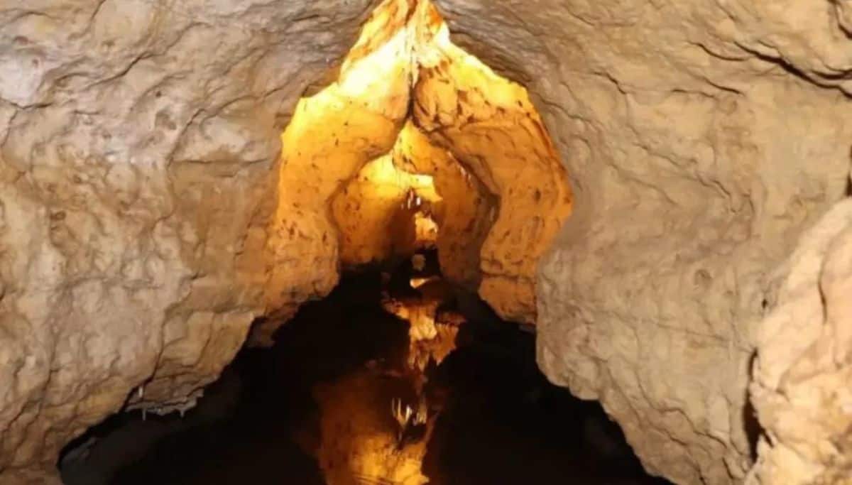 What Does Wisconsin Cave Of The Mounds Cost? Is It Worth The Price ...